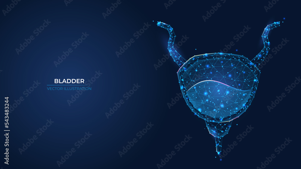 Futuristic abstract bladder symbol. Wireframe concept treatment of ...