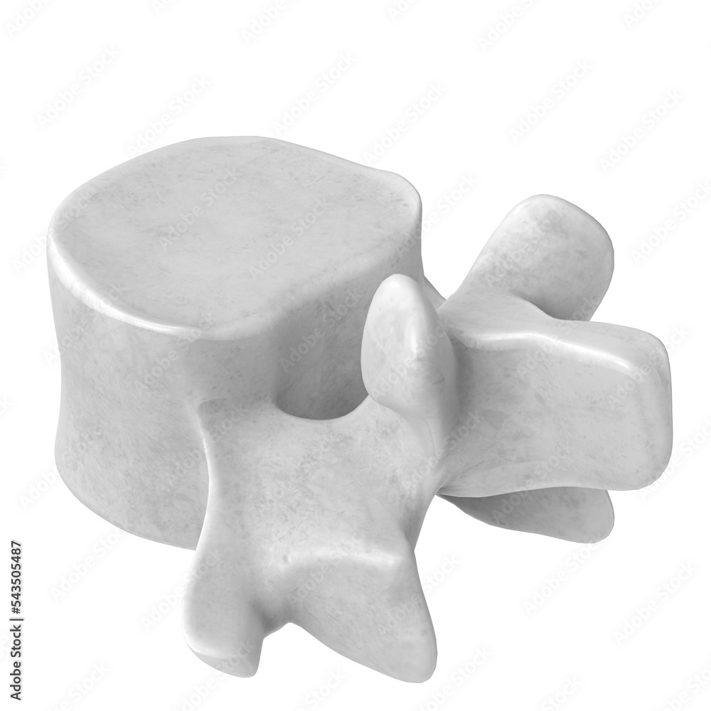 3d rendering illustration of a stylized human lumbar vertebra Stock ...