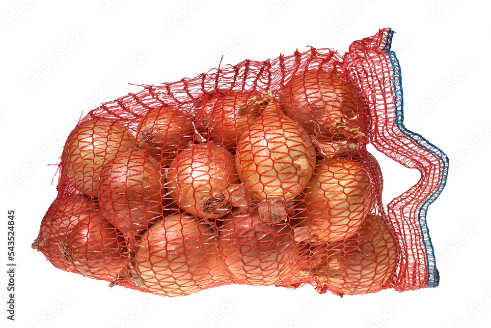Onion in a grid, isolated on a transparent PNG Stock Photo | Adobe Stock