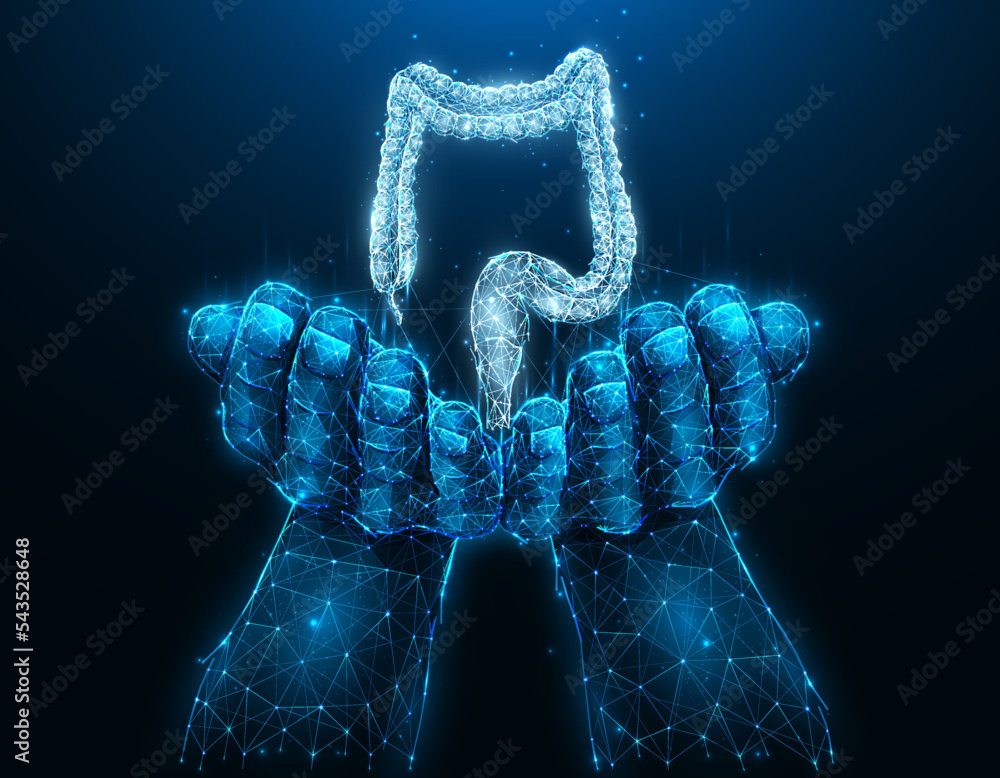 Colon or large intestine Donor. Polygonal vector illustration of a hand ...