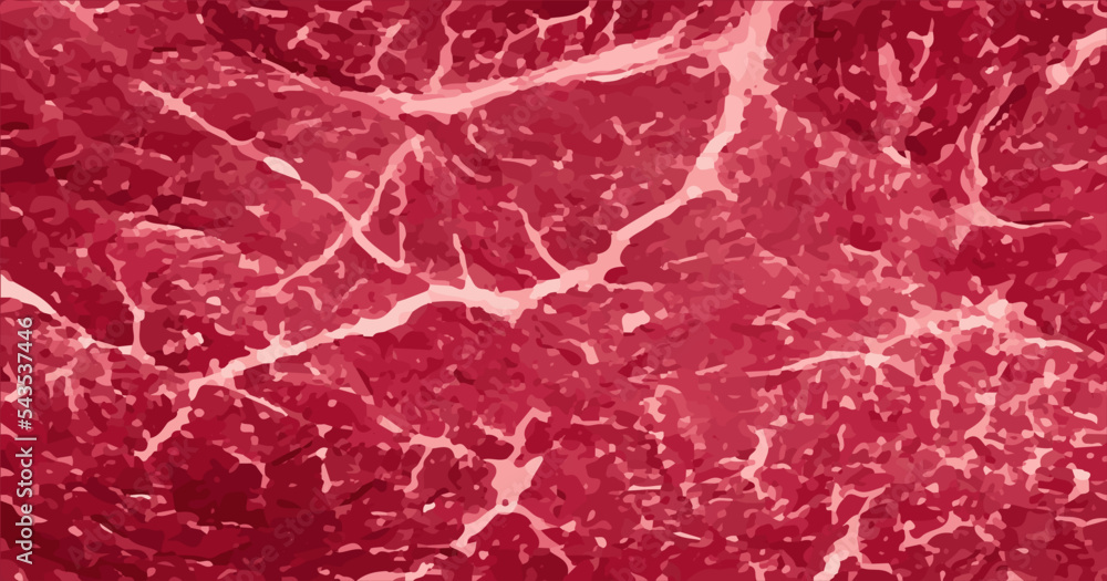 Vector realistic marbled meat steak texture. Japanese red meat ...