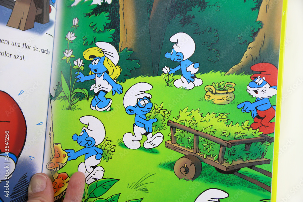 The Smurfs storybook. Characters created by Peyo. TV series. Book for ...