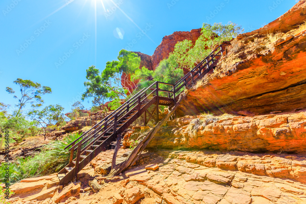Wooden stairs along Kings Canyon Rim with footbridge over Garden of ...