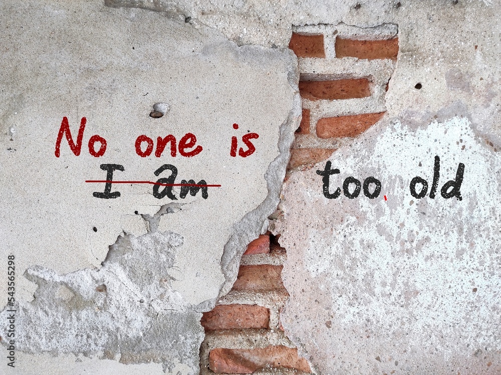 Grunge old cracked brick wall with handwritten chalk text I AM TOO OLD ...