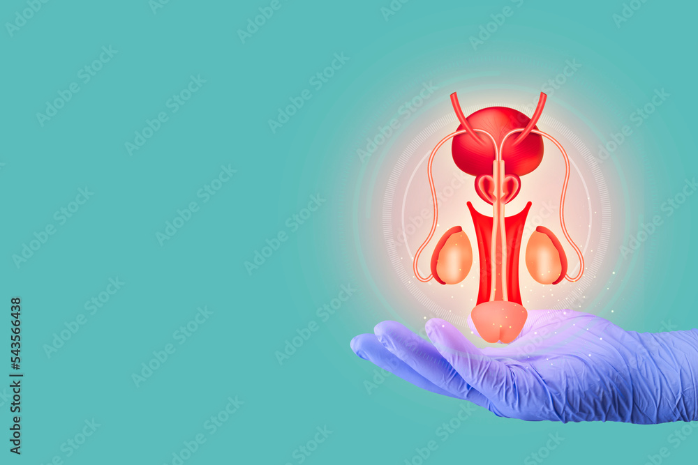 Specialized care in modern digital medicine. erectile dysfunction ...