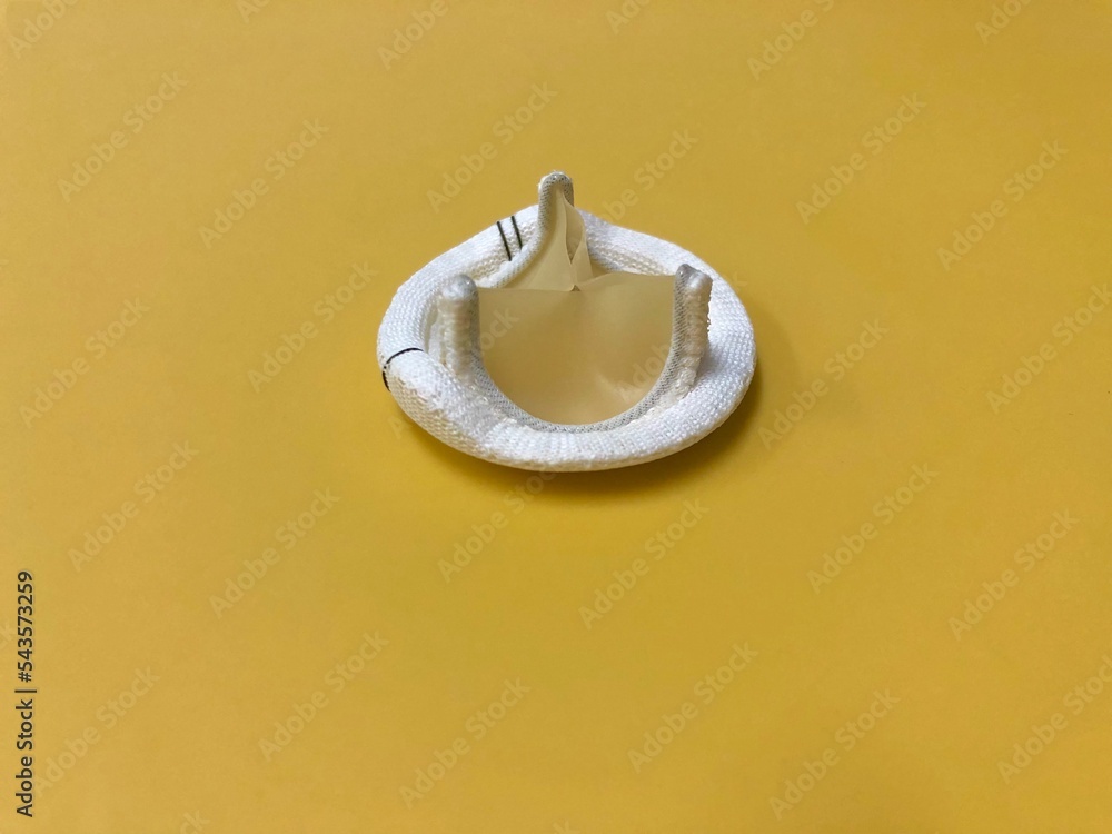 Foto de Model of bioprosthetic or tissue heart valve for valve ...