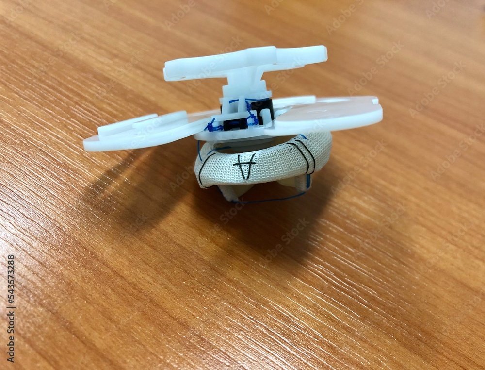 Model of bioprosthetic or tissue heart valve for valve replacement ...