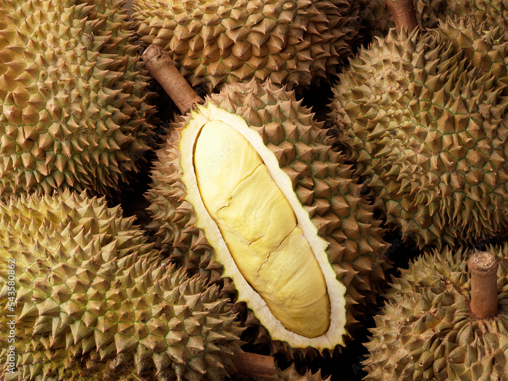 Stack of fresh Durians full frame for background. Stock Photo | Adobe Stock