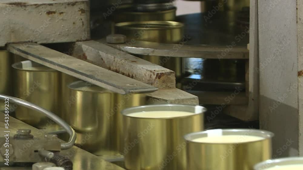 Condensed milk production plant, automated line. Conveyor belt in ...