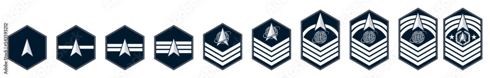 Vector military insignia of the United States Space Force Stock Vector ...