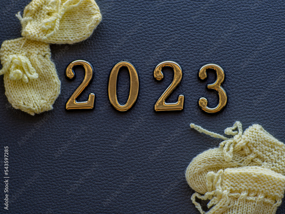 2023 and expectation concept. Top view. Flat lay. Happy motherhood ...