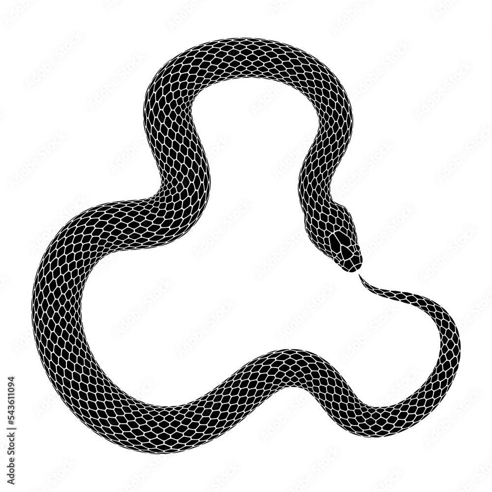Vector tattoo design of snake bites its tail in the form of a delta ...