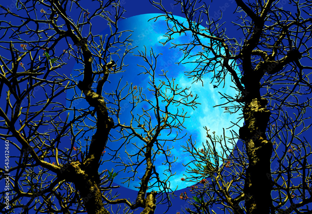 The big blue moon was behind a tree that was predominantly branched ...