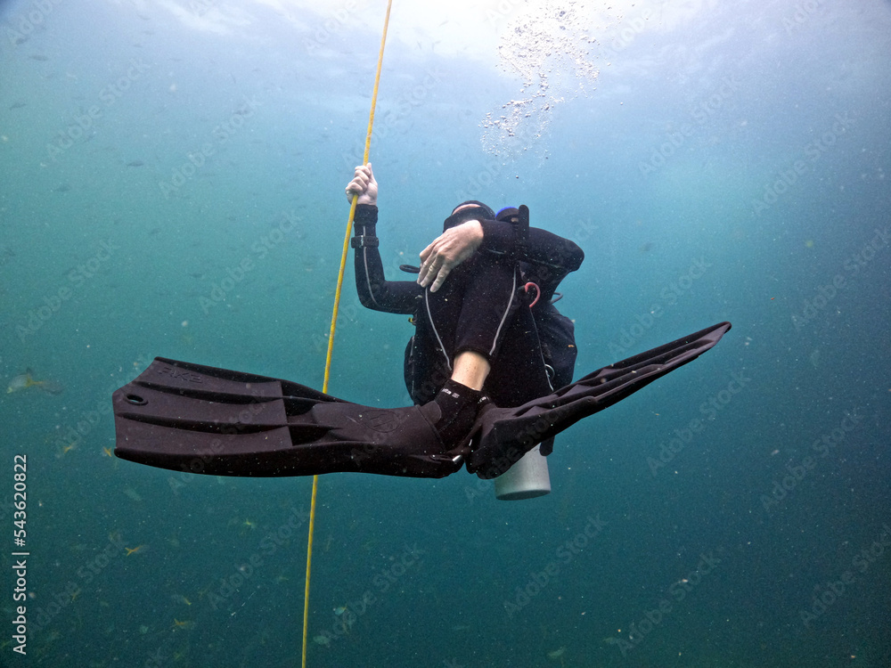 Scuba diver in tropical waters hanging on to diving rope - Scuba diver ...