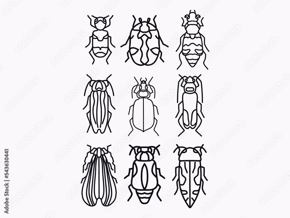 beetle ground outline icon .bug insect line art doodle illustration ...
