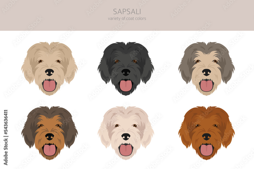 Sapsali dog clipart. All coat colors set. All dog breeds ...