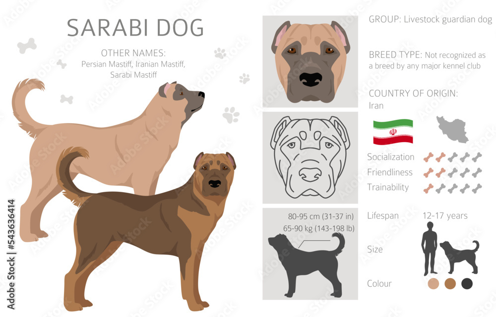 Sarabi dog, Iranian mastiff clipart. All coat colors set. All dog ...