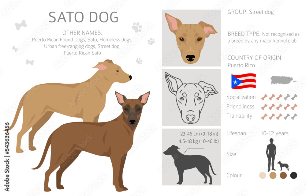 Sato dog clipart. All coat colors set. All dog breeds characteristics ...