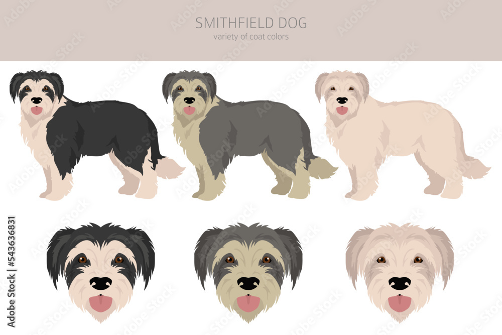Smithfield dog clipart. All coat colors set. All dog breeds ...