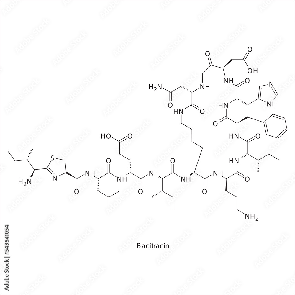 Bacitracin flat skeletal molecular structure Bactoprenol inhibitor ...