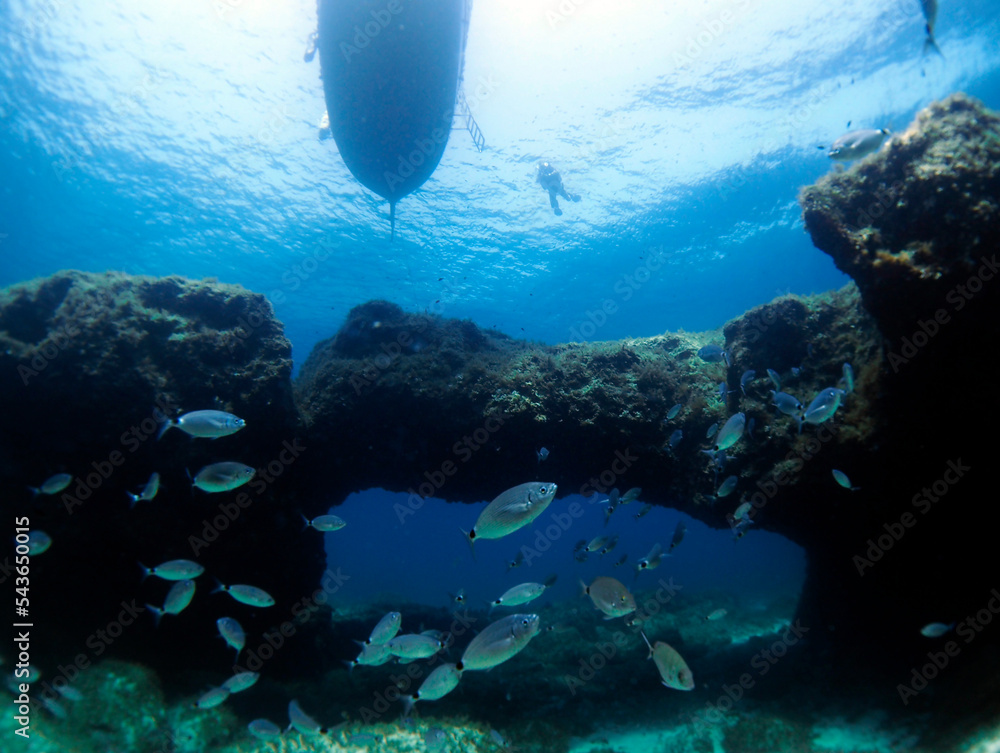 Scuba Diving and Underwater Photography Malta Gozo Comino - Wrecks ...