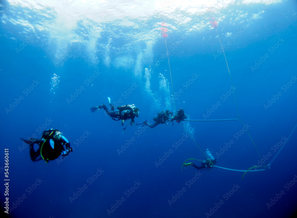 Scuba Diving and Underwater Photography Malta - Wrecks Reefs Marine ...