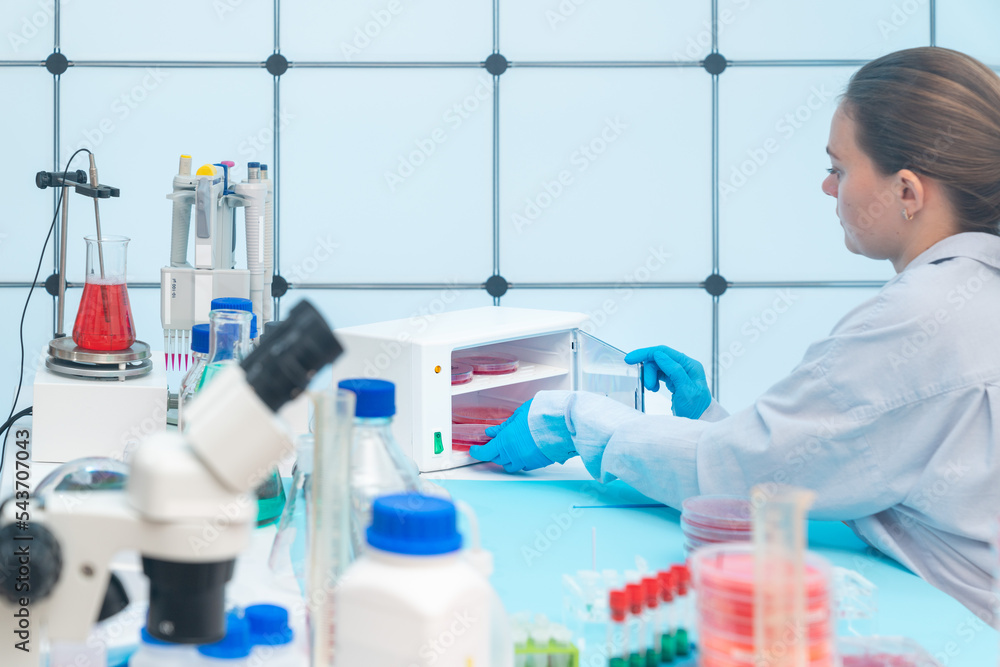 a young female laboratory assistant in a microbiological laboratory ...