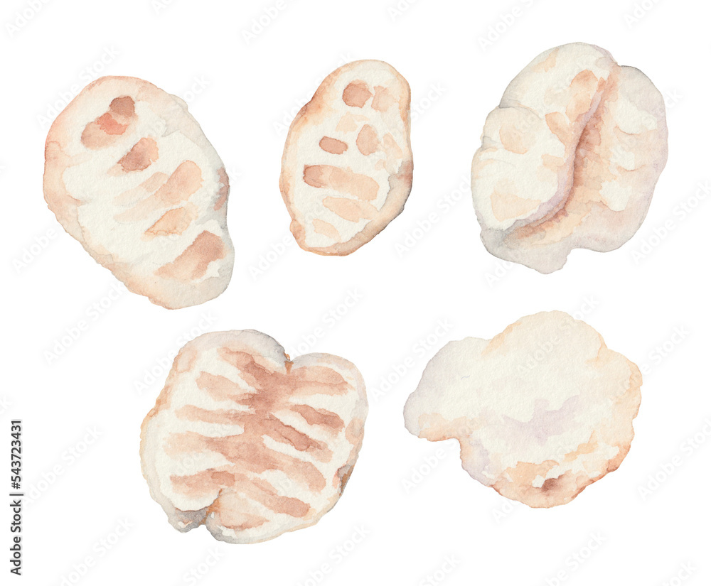 Watercolor Korean Puffed Rice snacks set. Popped Rice. Crispy puffed ...