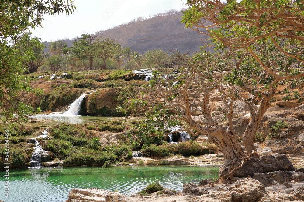 Darbat waterfalls near Salalah, Sultanate of Oman Stock Photo | Adobe Stock