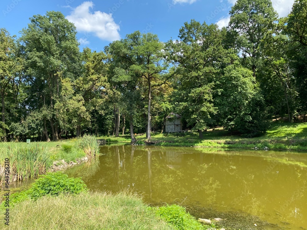 Foto de An small artificial lake or pond in the park of the Pejacevic ...