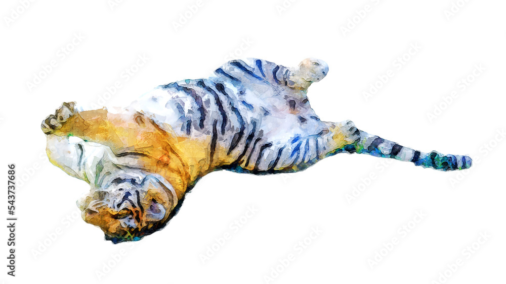 PNG illustration with a transparent background digital painting of a ...