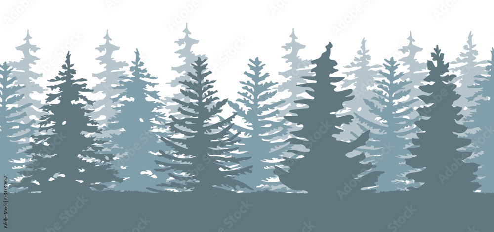Spruce forest silhouette. Spruce wood silhouette. Spruce tree ...