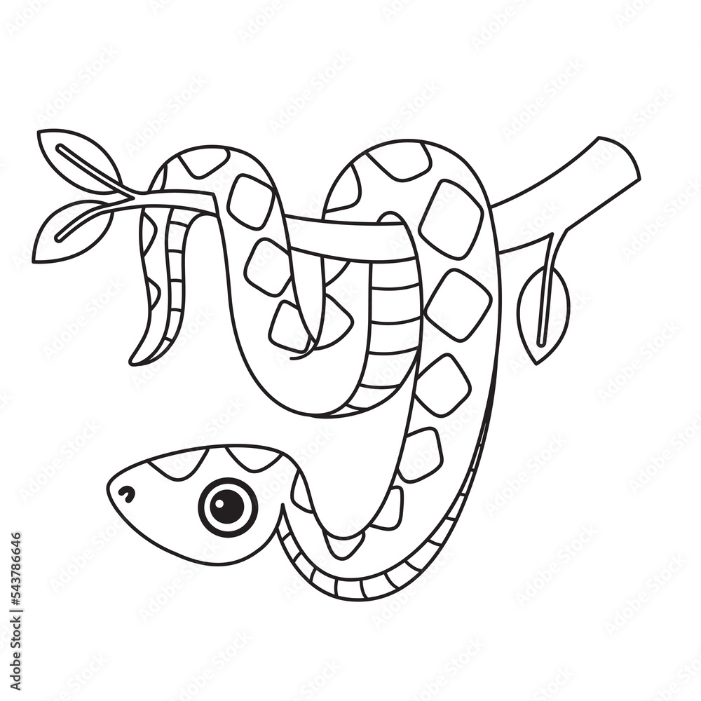 Smiling boa character hanging on a tree branch. Vector coloring book ...