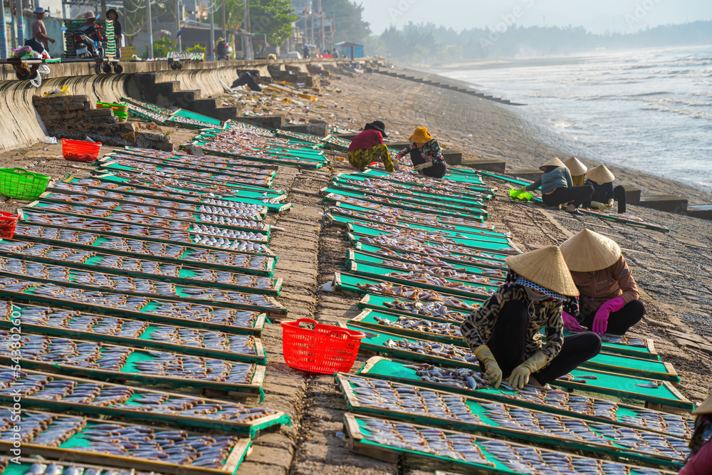 Top view fisherman in fishing village.They was drying fresh fish on a ...