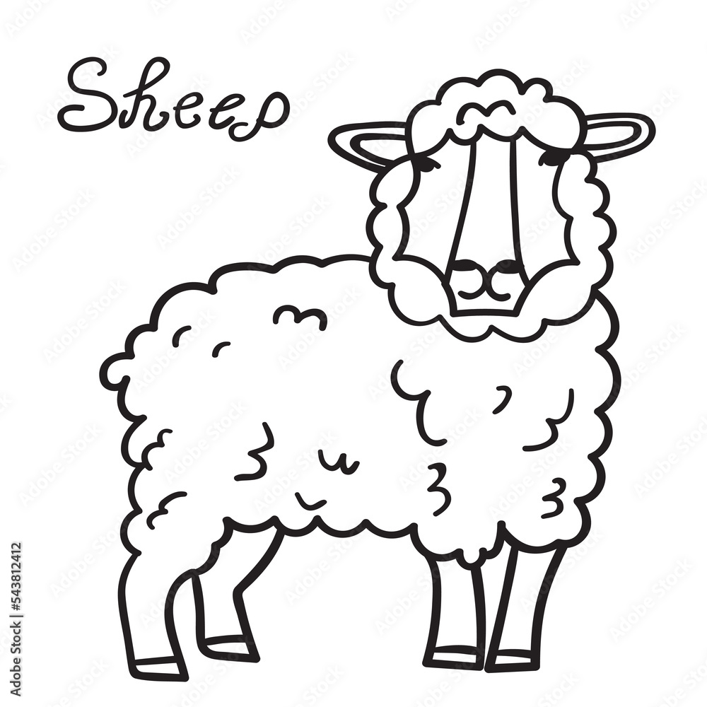 Sheep outline icon. Vector hand drawn graphic design on white ...