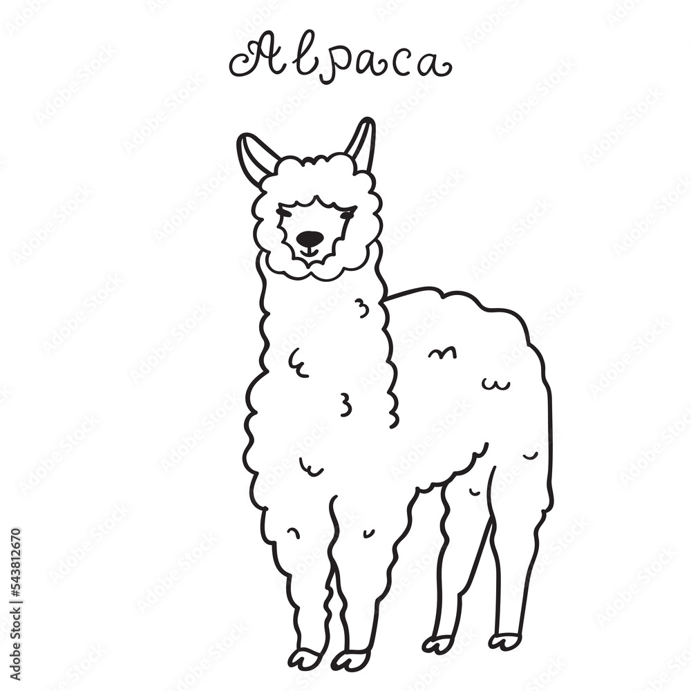 Vetor de Alpaca standing. Graphic design. Outline vector illustration ...