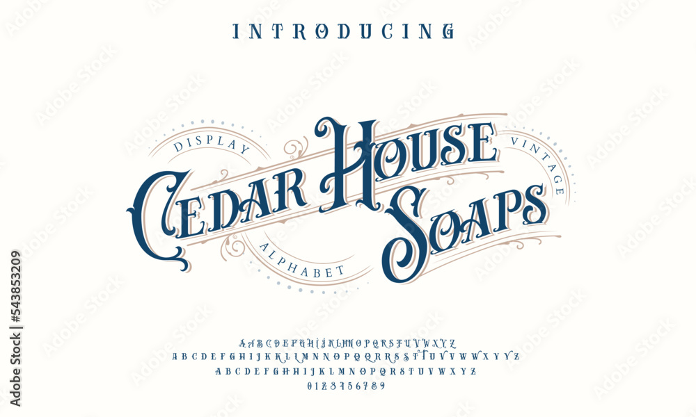 Vintage Victorian typeface decorative Font Stock Vector | Adobe Stock