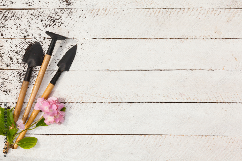 Gardening tools with earth and flower top view on white wooden planks ...