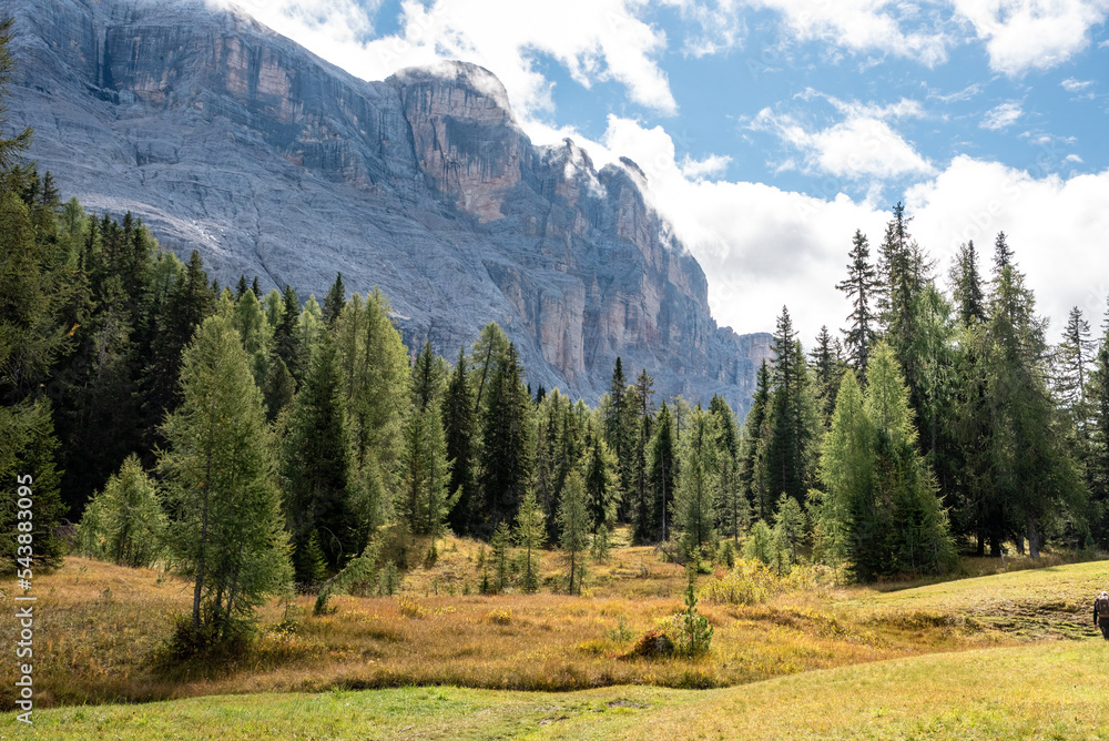 Typical alp with a hay shed in the Dolomite Alps in the Fanes Sennes ...