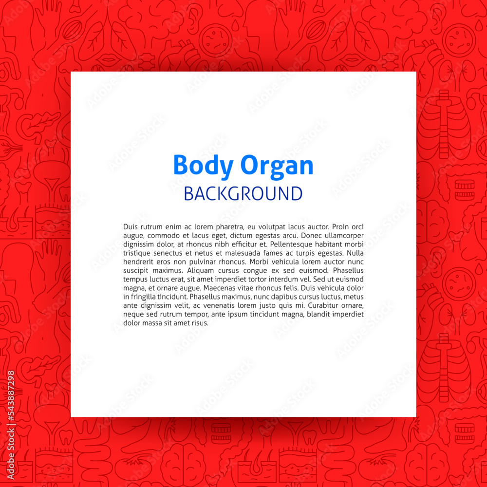 Body Organ Paper Template. Vector Illustration of Outline Design. Stock ...