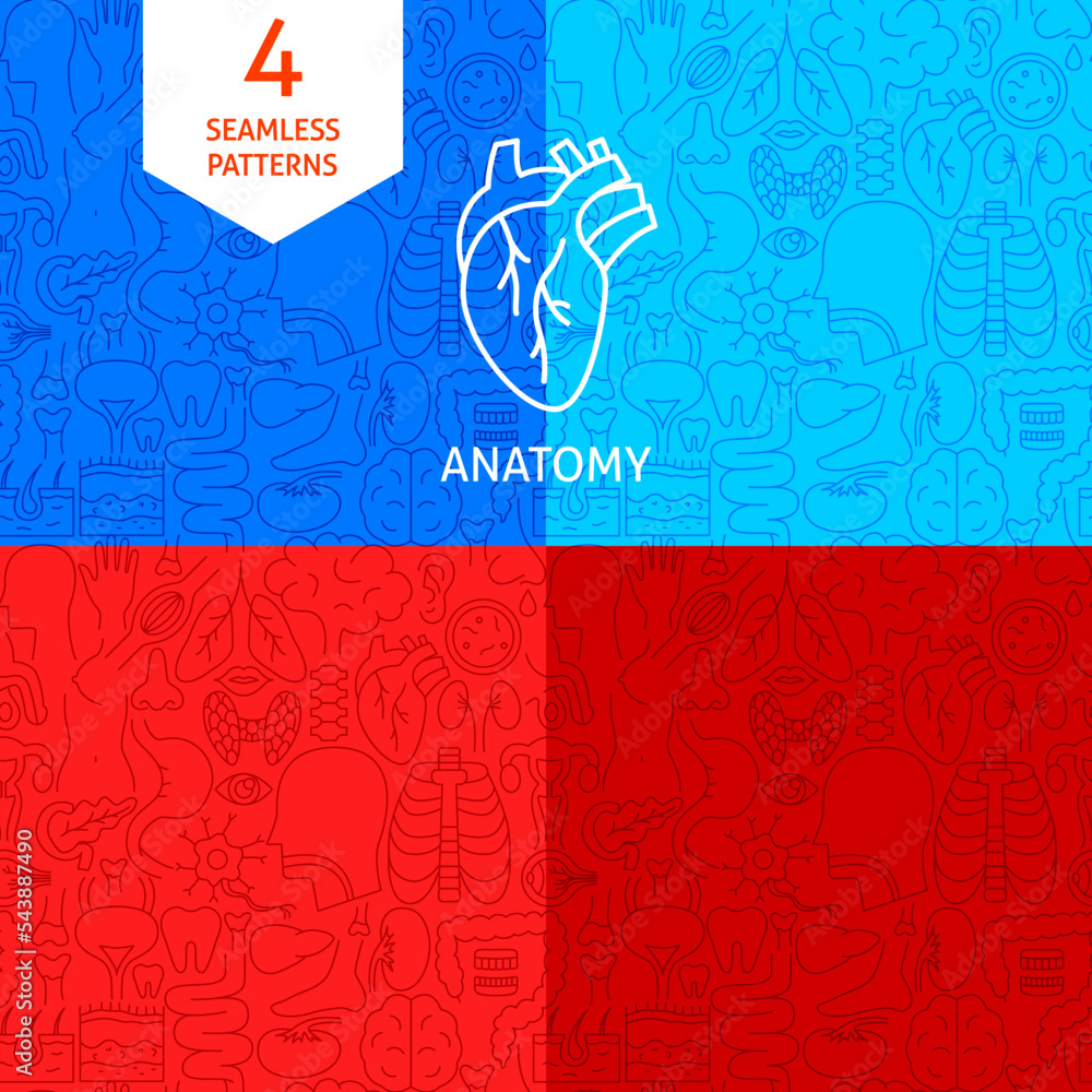 Line Anatomy Patterns. Vector Illustration of Outline Design. Stock ...