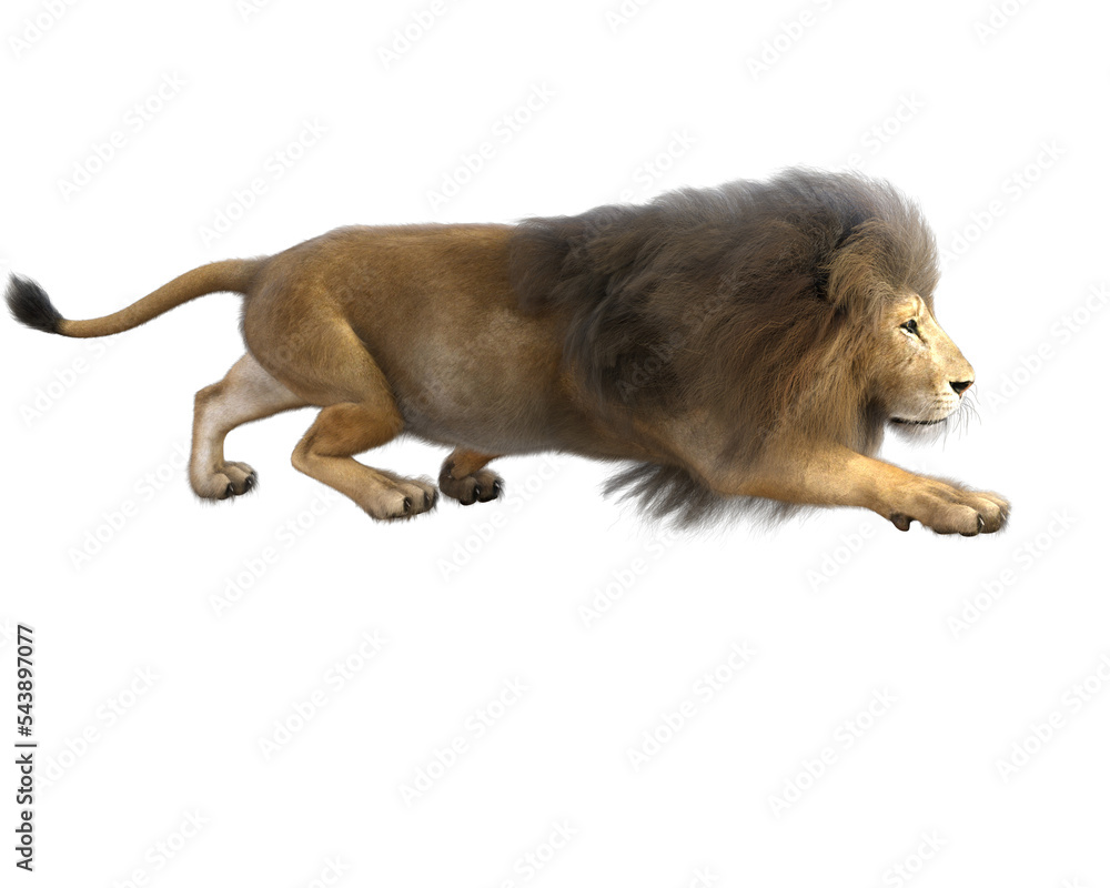 Lion hunting on transparent background, 3D rendering. PNG Stock ...