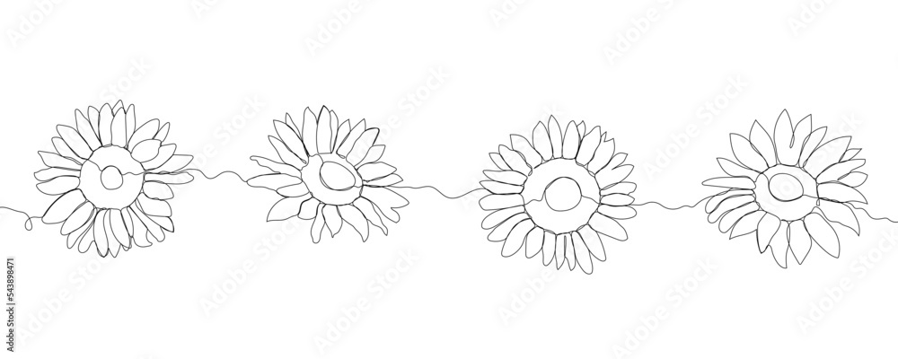 Sunflower in continuous line art drawing style. Black linear sketch ...