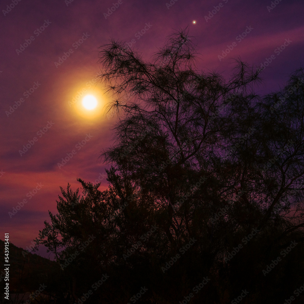 Arizona nightscape with the full moon and soft clouds in the night sky ...