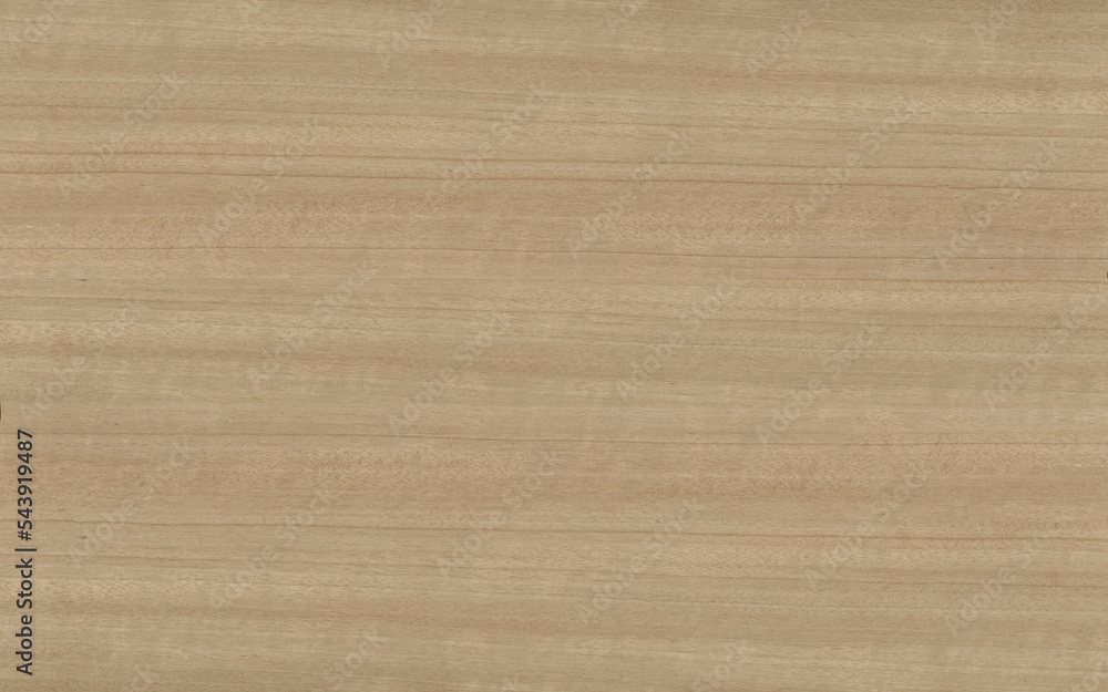 Seamless light wood laminate texture high resolution Stock Photo ...