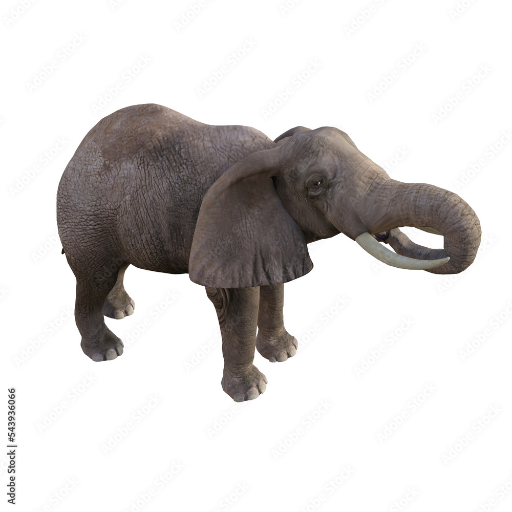 Illustration of an elephant in different poses and angles for collage ...