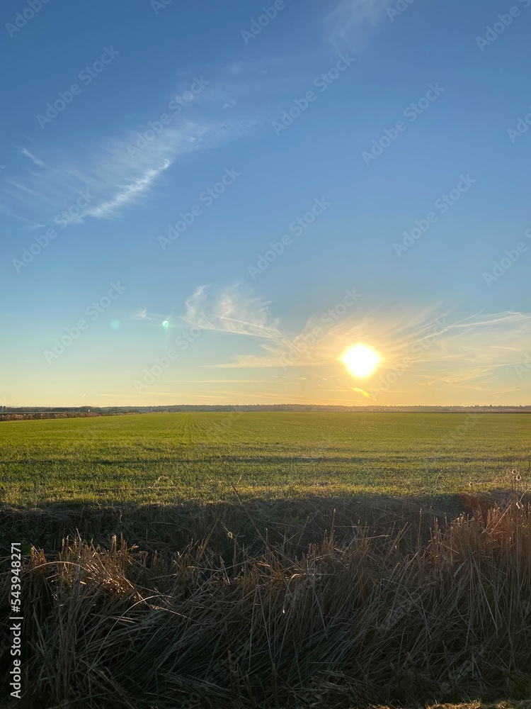 sunset over the field Stock Photo | Adobe Stock