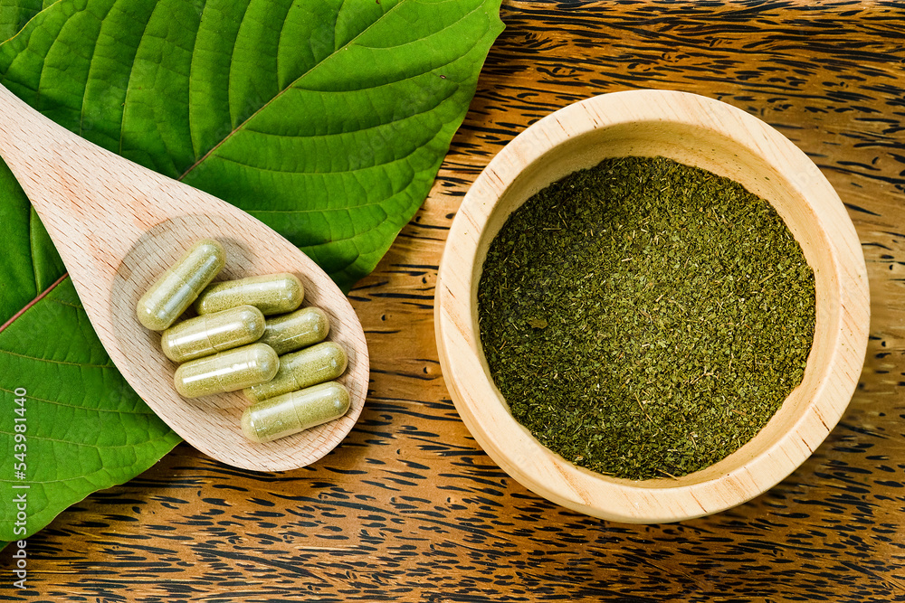 Mitragyna speciosa (kratom) leaves with medicinal products in capsules ...