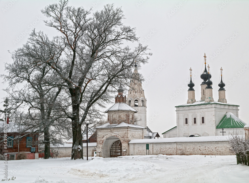 Beautiful tree in front of the gates of the Orthodox monastery. Stock ...