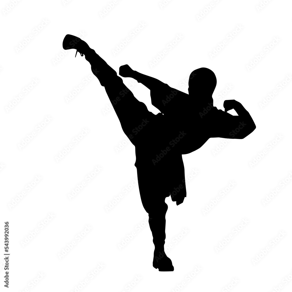 Poster The boy shows the art of wushu kung fu silhouette – Wall Art ...
